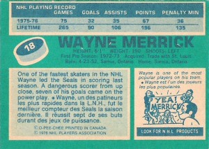 Wayne Merrick: Four Time Stanley Cup Champ (With New York Islanders)